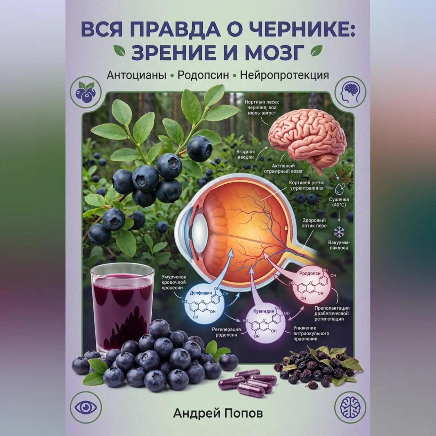 Вся правда о чернике: зрение и мозг [Аудиокнига]