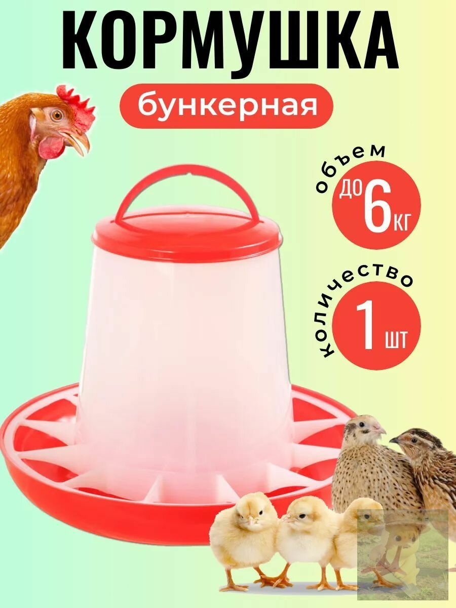 Бункерная кормушка