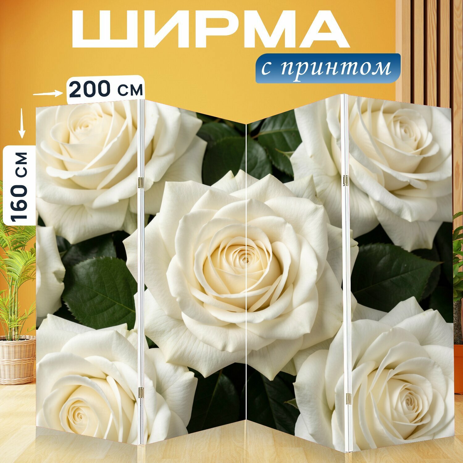 Ширма "Белые розы с зеленью. Нежная композиция из крупных кремово-белых бутонов на фоне тёмной листвы." перегородка для зонирования комнаты с принтом 200x160 см. на холсте