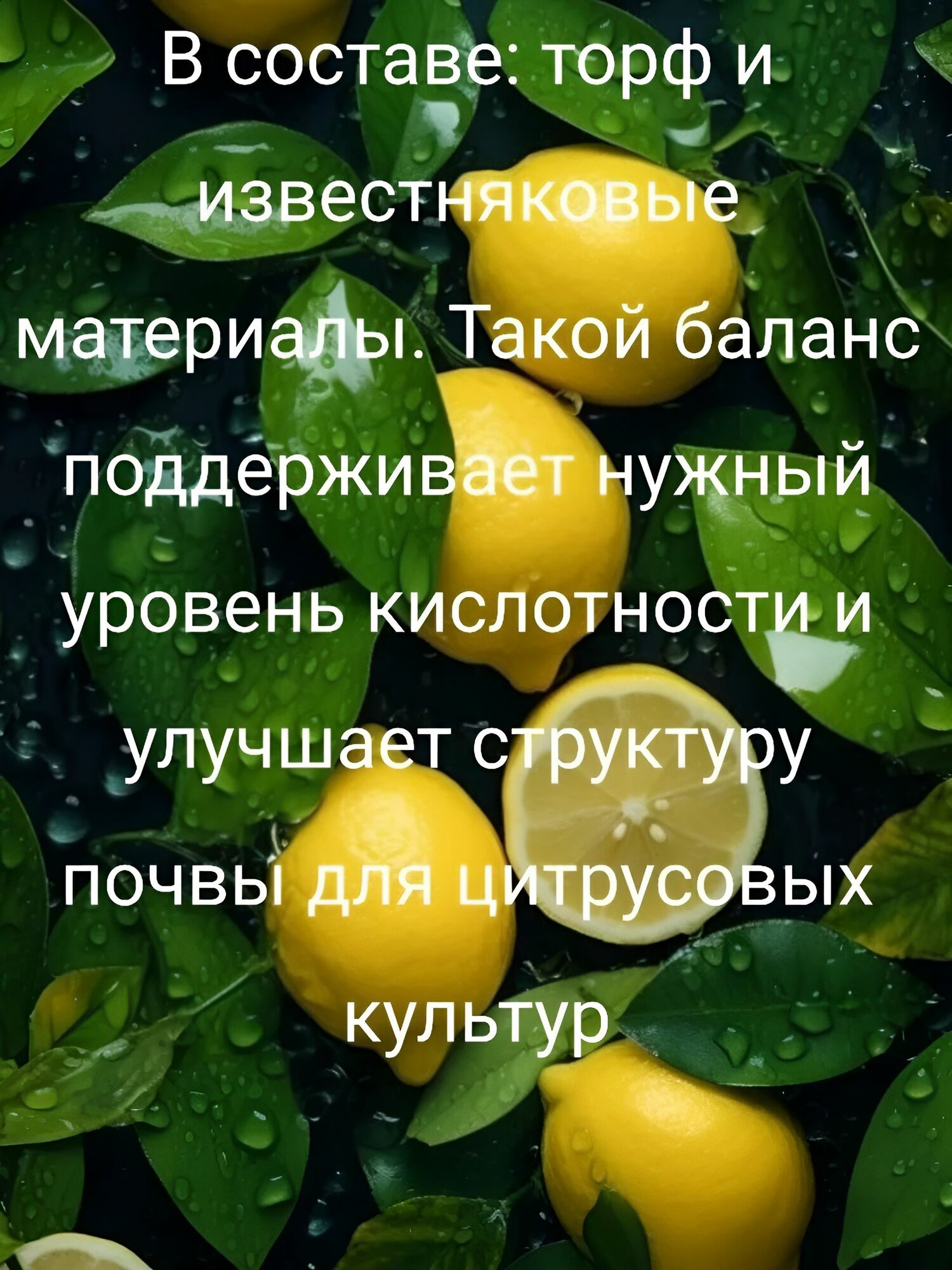 Грунт для цитрусовых 5л — фото 1
