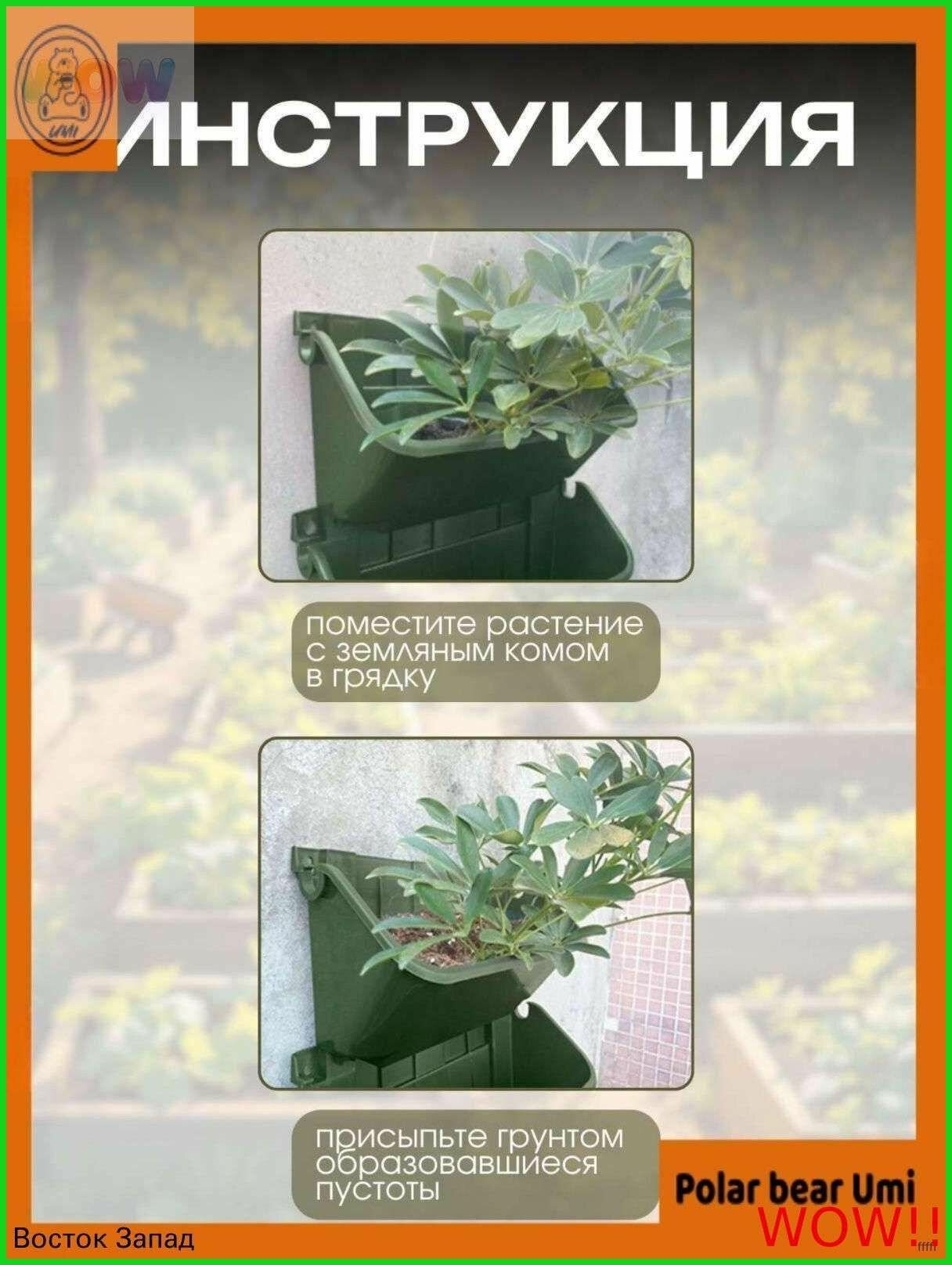 Грядка — фото 1