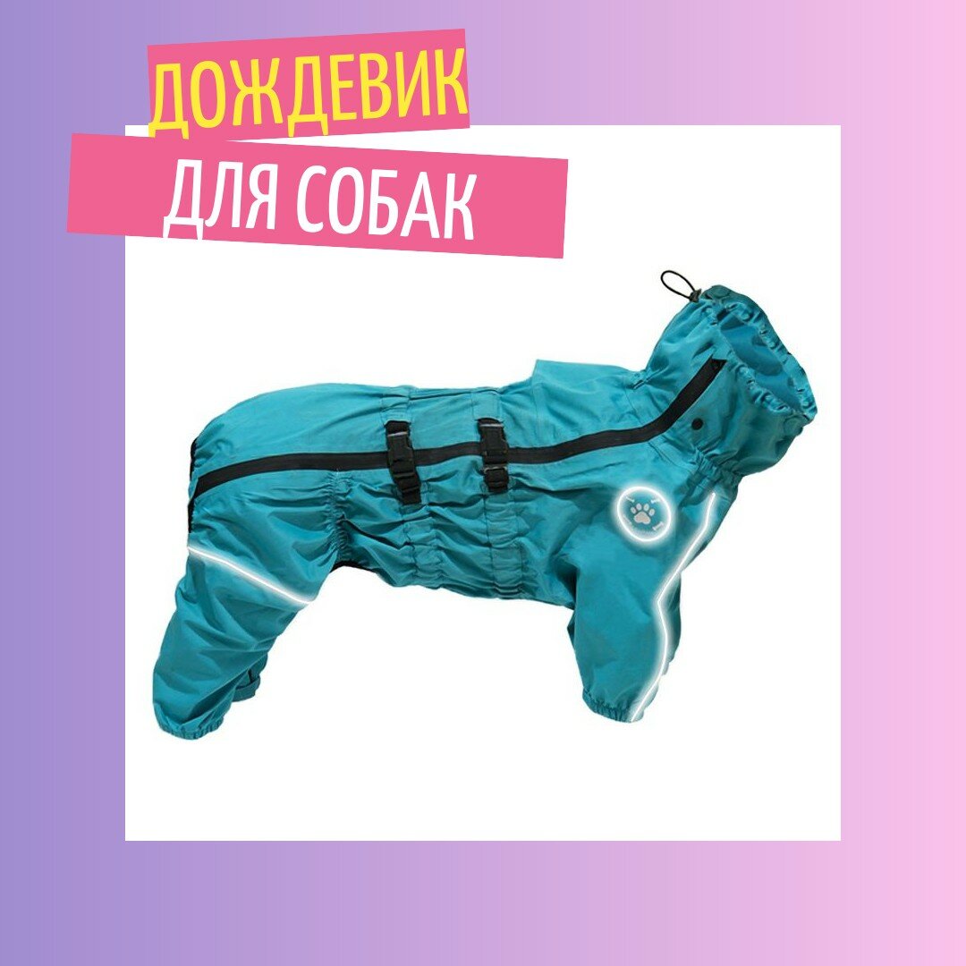 Дождевик для собак мелких и средних пород цвет голубой