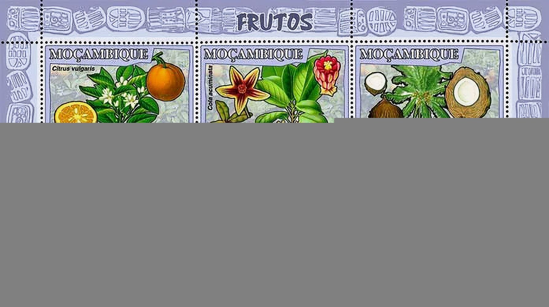 Почтовые марки Мозамбик 2007г. "Фрукты" Фрукты, Флора MNH
