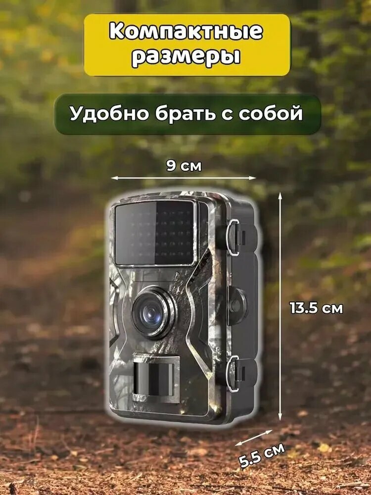 Фотоловушка — фото 1