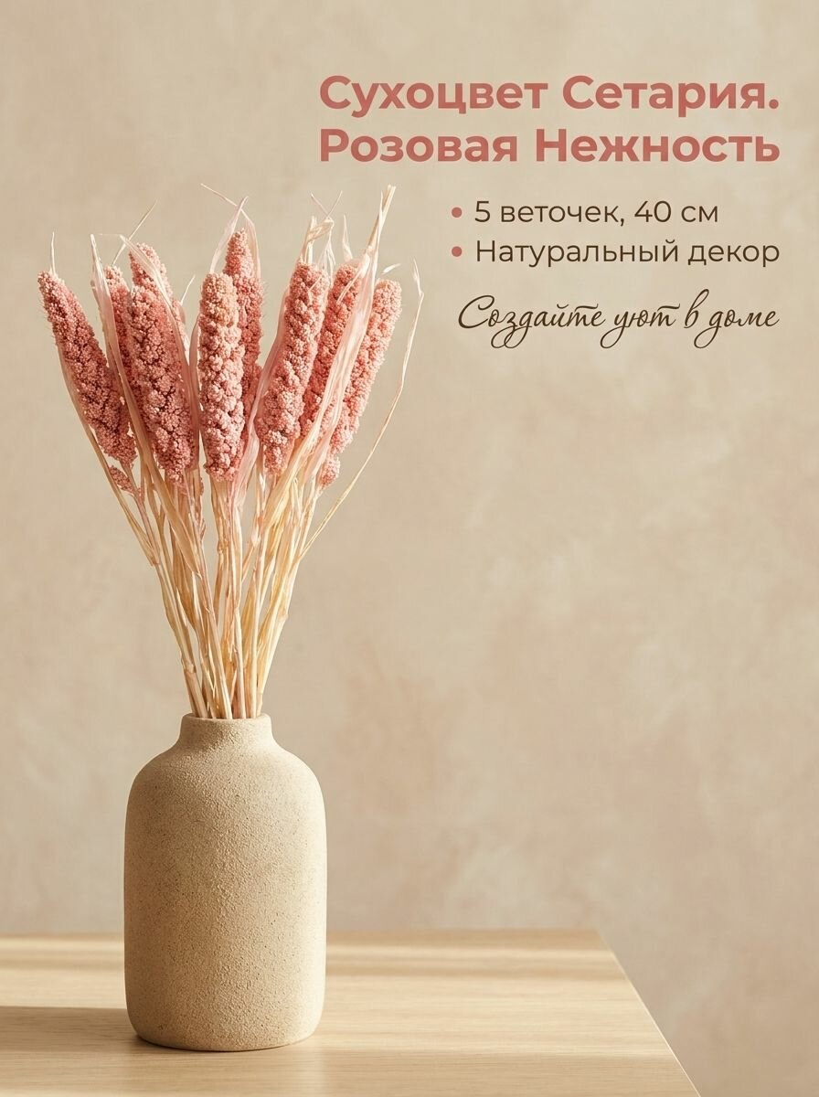 Сухоцвет "Сетария", 5 шт в пучке, персиково-розовый, натуральный сухоцвет, для создания цветочных композиций и декора