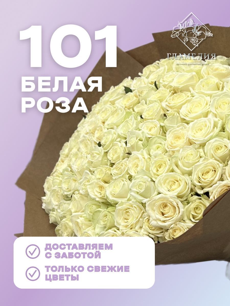 Гламелия цветы «Белое облако»: 101 роза Avalanche в крафте – купить свежие цветы с доставкой в Москве