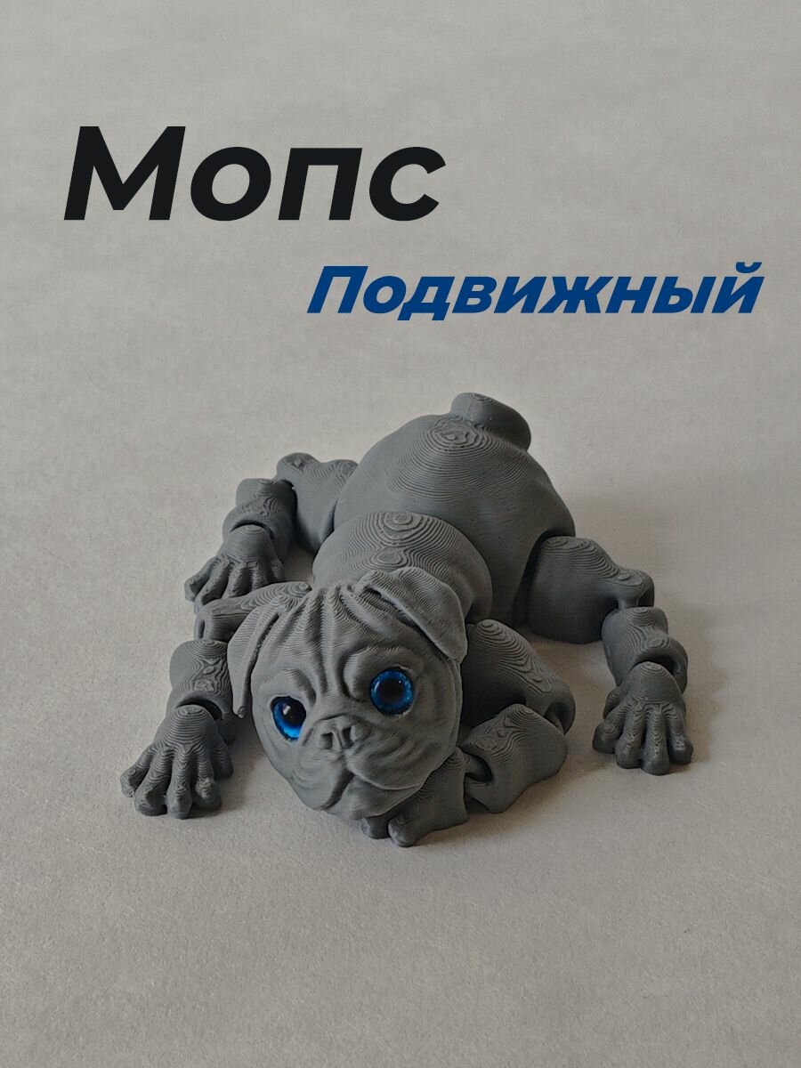 Мопс подвижный