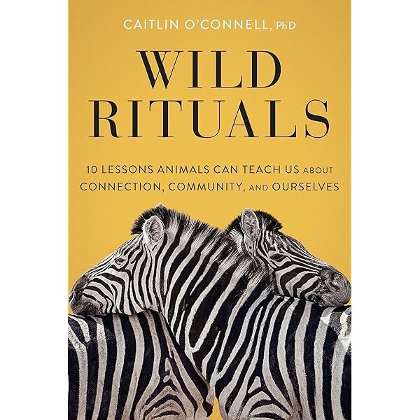 Wild Rituals: 10 Lessons Animals Can Teach Us About Connection, Community, and Ourselves，Reprinted paperback book