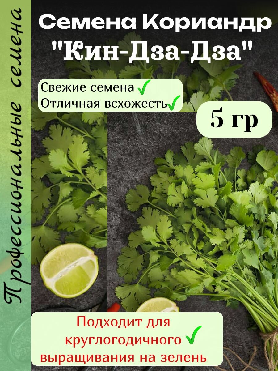 Семена Кориандр Кин-Дза-Дза на зелень 5гр