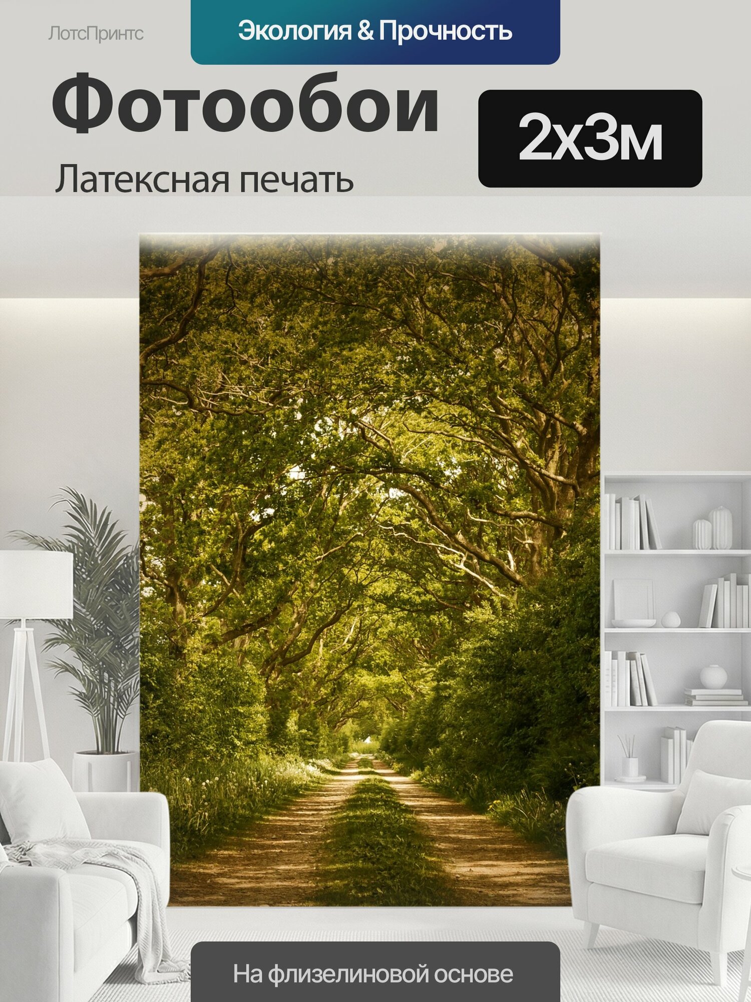 Фотообои моющиеся ударопрочные "Лес, деревья, лесная тропа" 200x300 см. латексная печать