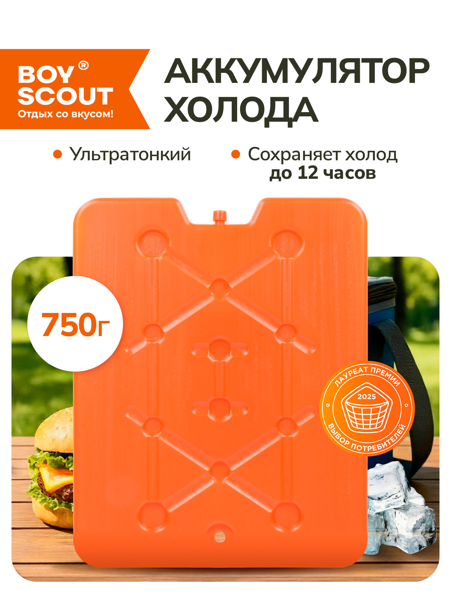 Аккумулятор холода для термосумки ультратонкий, гелевый, 750 г, BOYSCOUT
