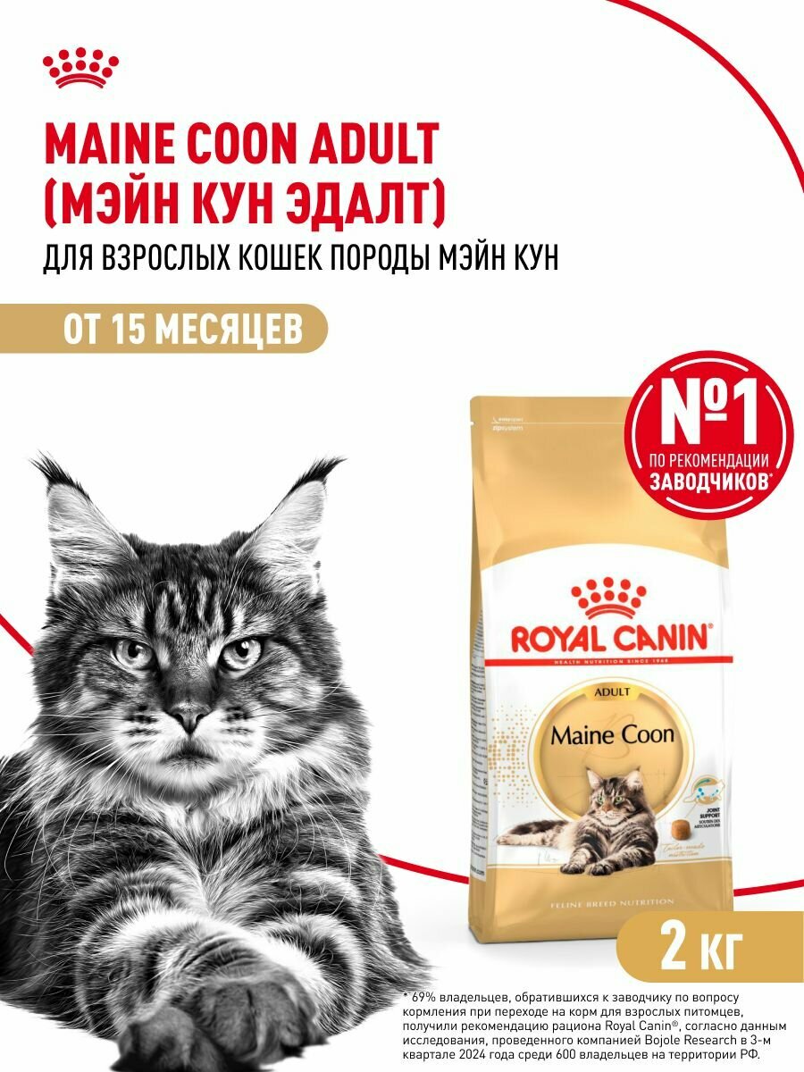 Сухой корм для кошек Royal Canin Adult породы мейн кун, 2 кг