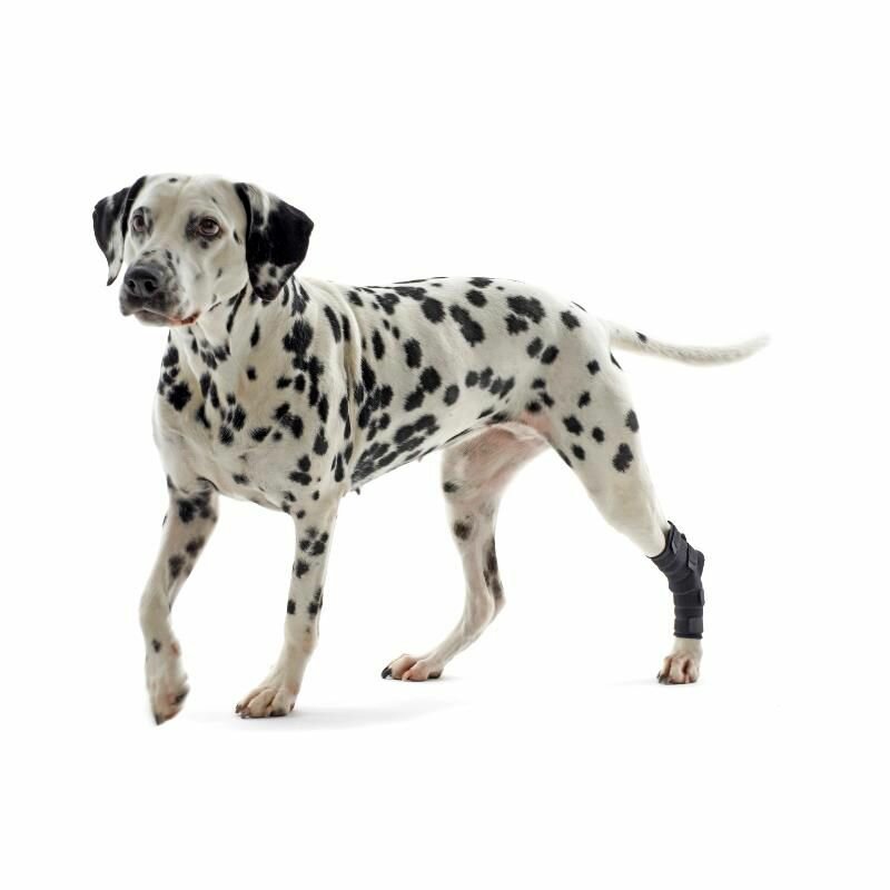 KRUUSE Rehab Rehab Hock Protector протектор скакательного сустава S