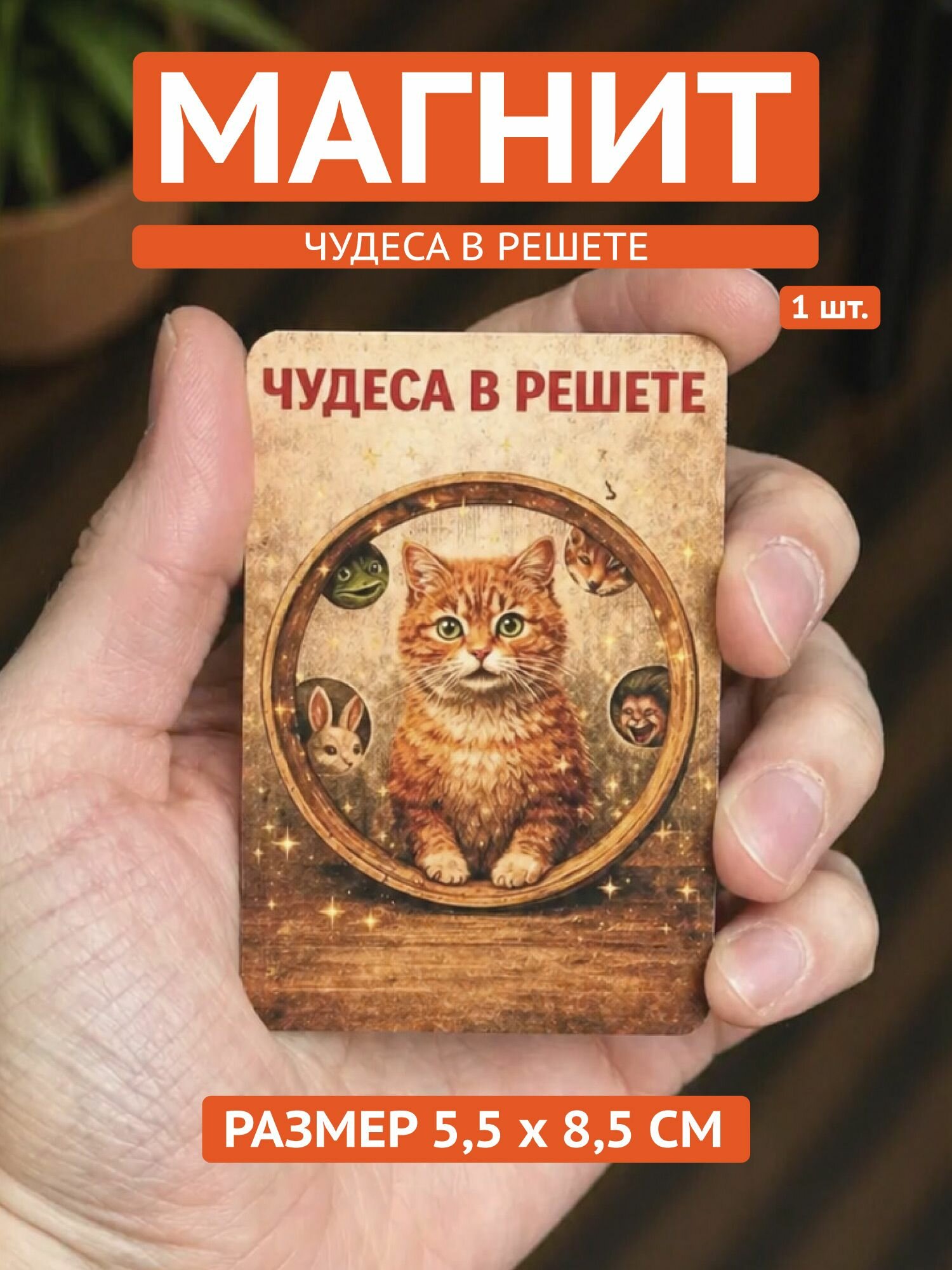 Магнит Чудеса в решете. 5,5 на 8,5 см. 1 шт. Магнитик на холодильник с котиком.