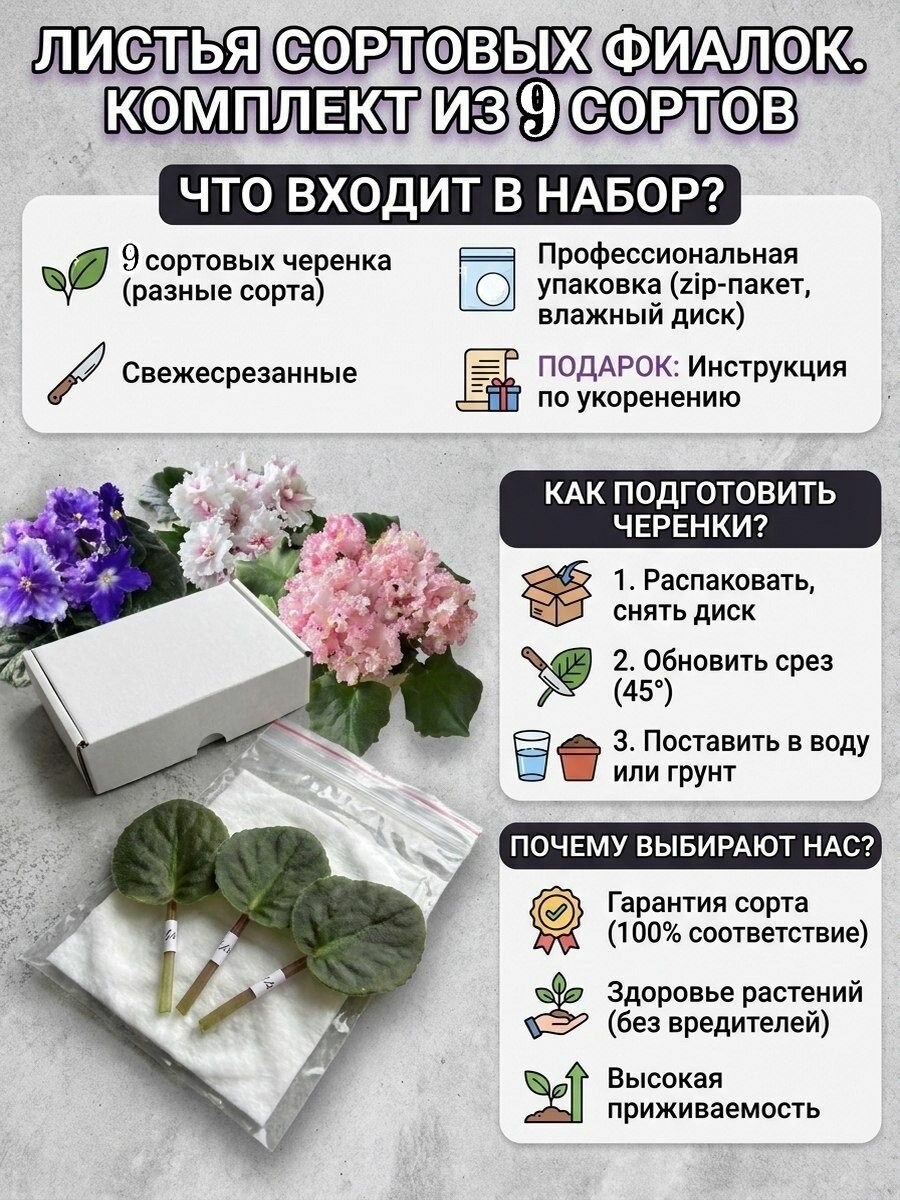 Набор листиков сортовых фиалок, стандартные сорта, набор из 9 шт