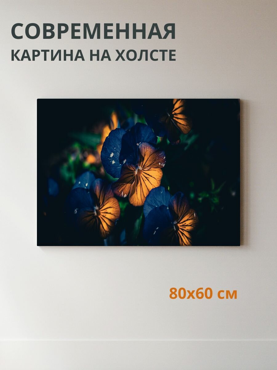 Картина на холсте Фиалки 80x60 см