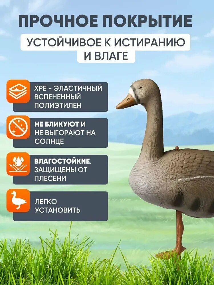 Чучело — фото 1
