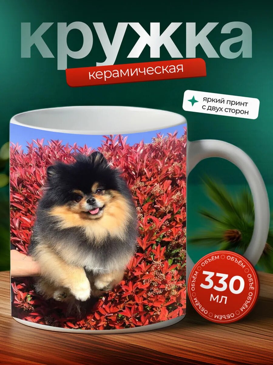Кружка Померанский шпиц 16,