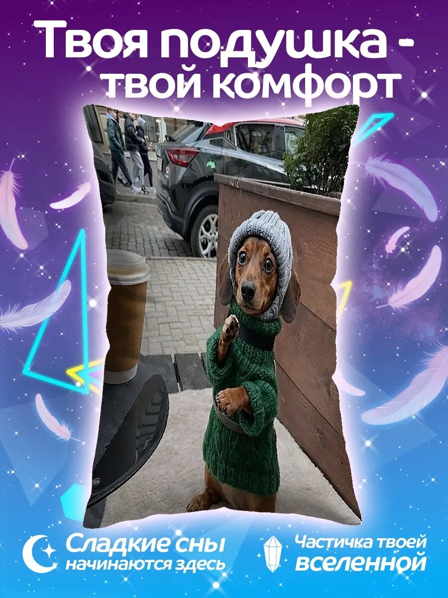 Подушка дакимакура Такса в свитере