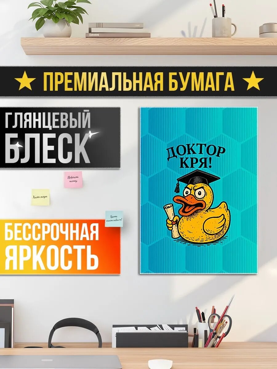 Постер на стену Доктор кря — фото 1