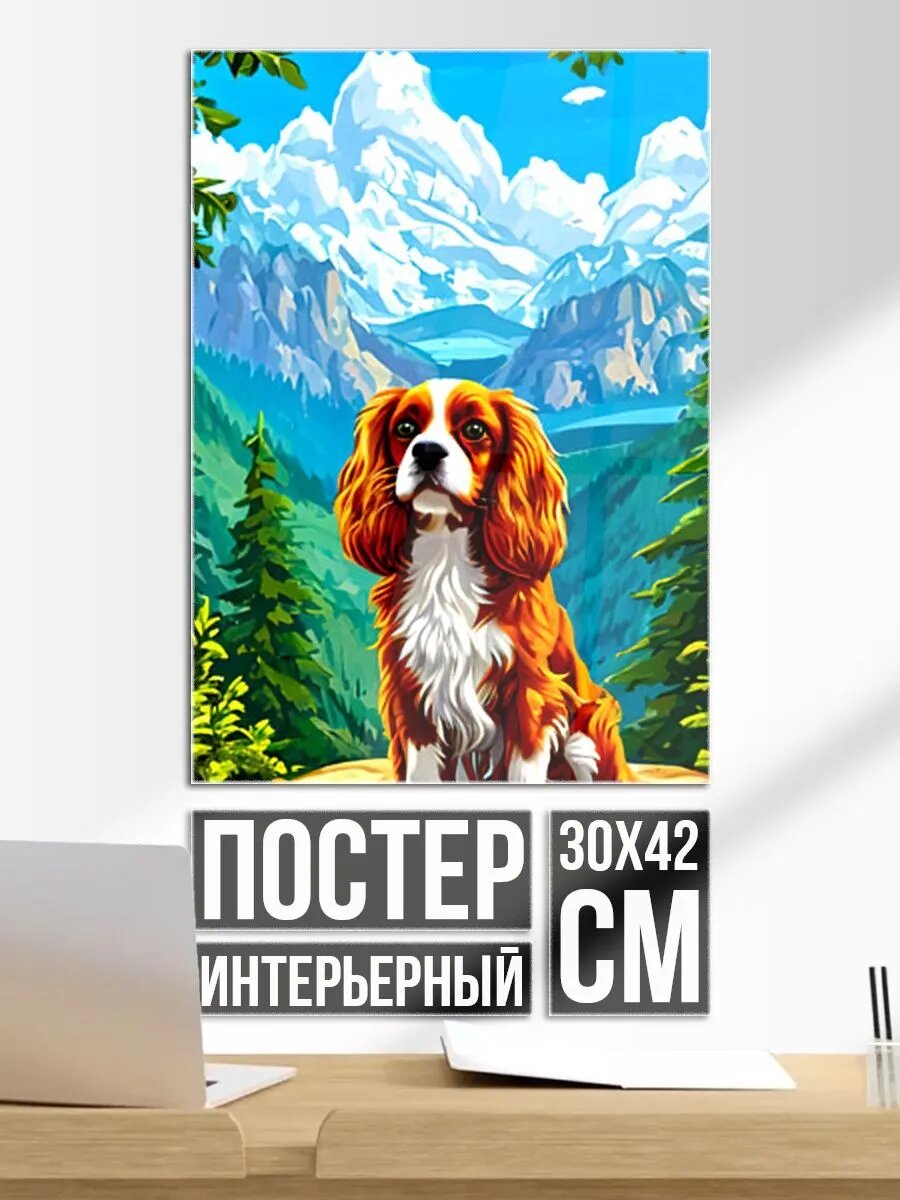 Постер на стену Кавалер кинг чарльз спаниель в летних горах
