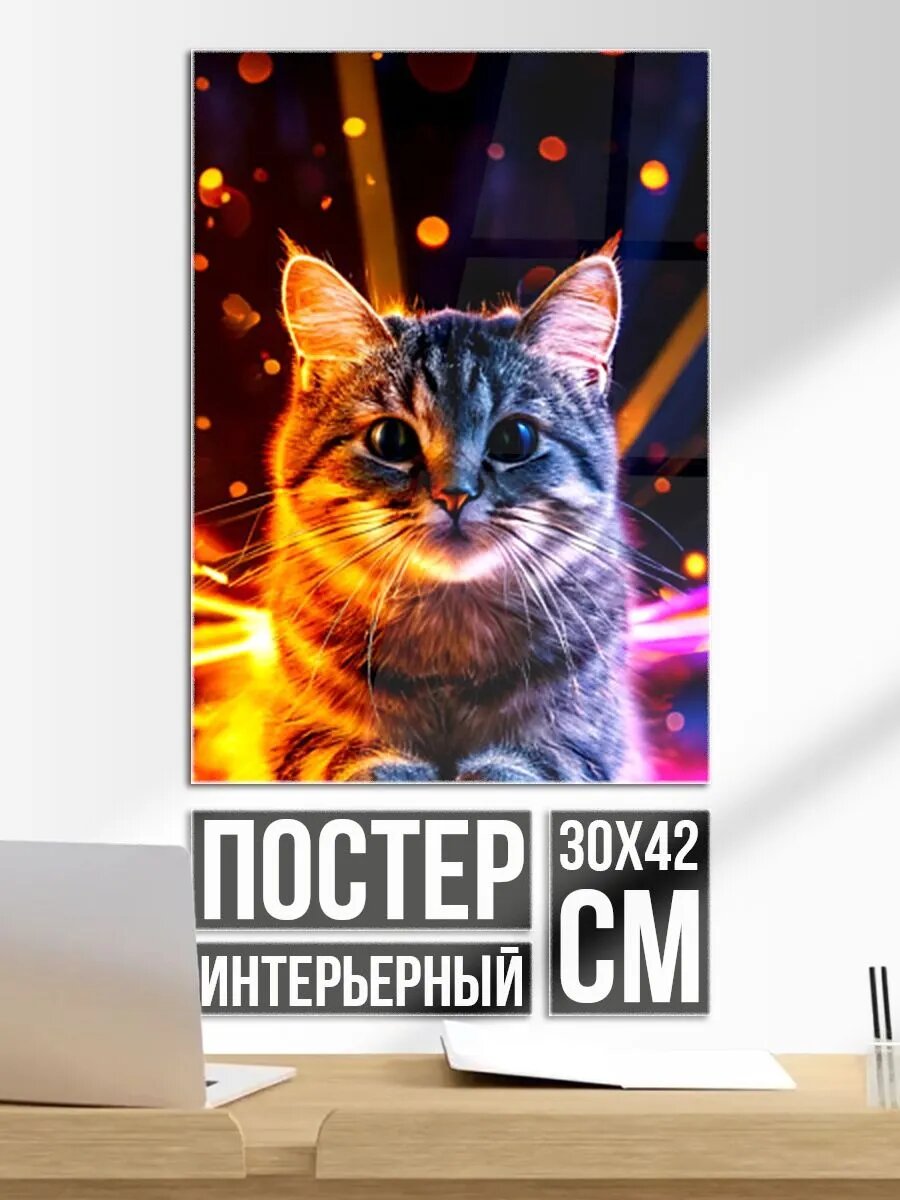 Постер на стену Кошка шиншилла в неоновых лучах