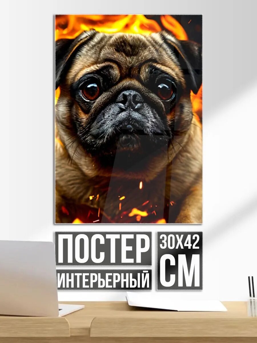 Постер на стену Мопс в огне