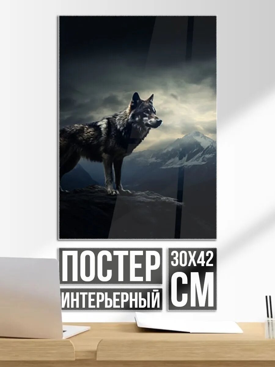 Постер на стену Волк на горе