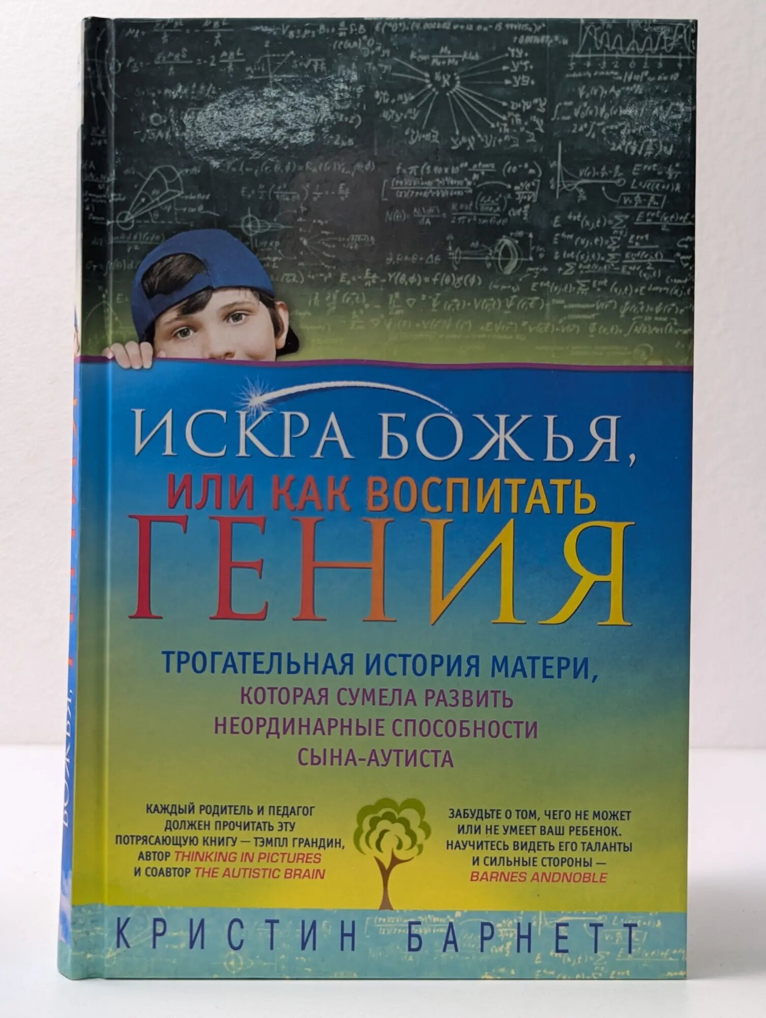 Искра Божья, или Как воспитать гения Барнетт Кристин 2013