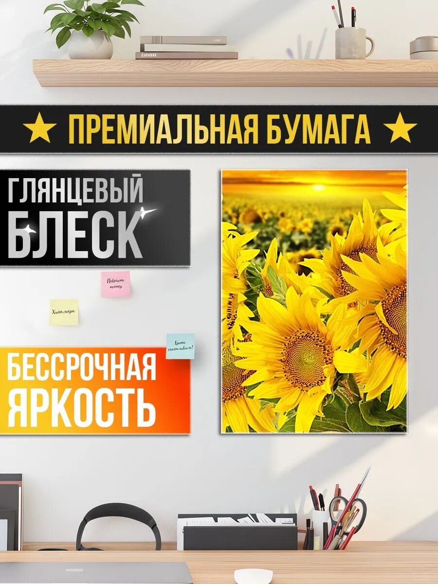 Постер на стену Подсолнухи — фото 1