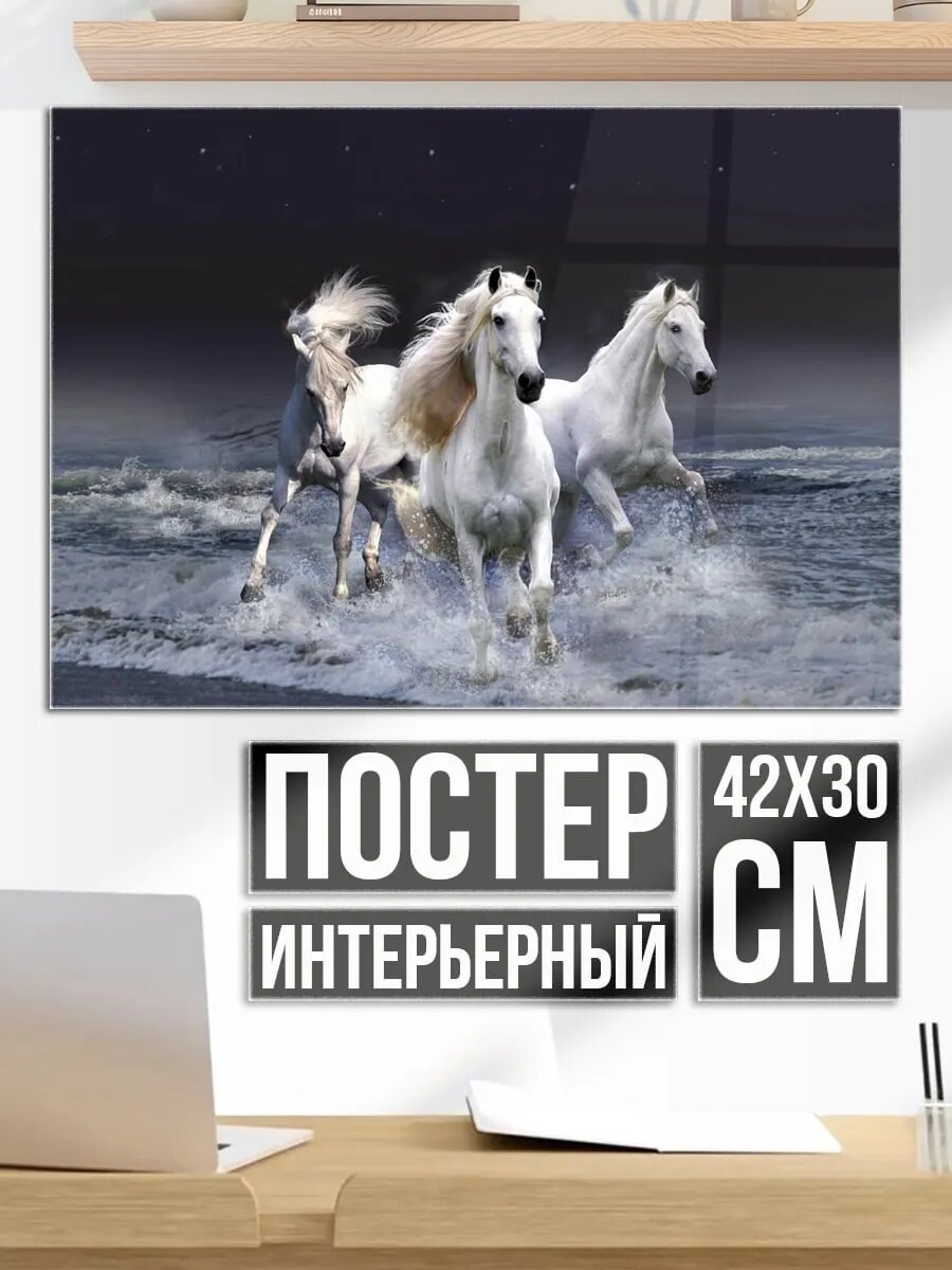 Плакат постер Белые кони в воде