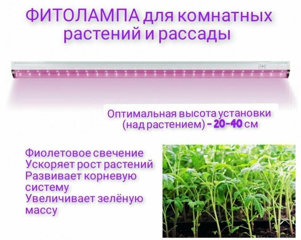 Светильник для растений, фитолампа Ultraflash LWL-2014-04CL 9Вт 570мм