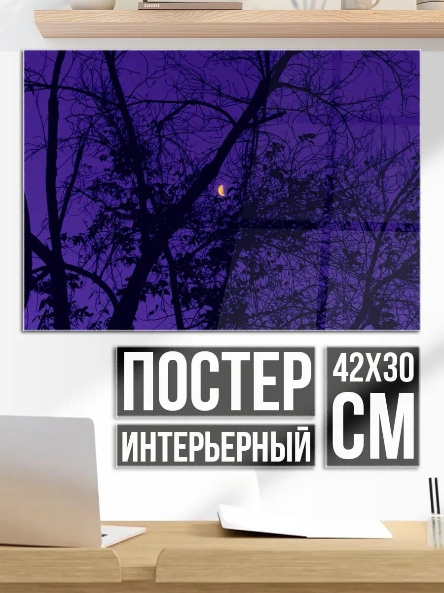 Плакат постер ночной лес луна