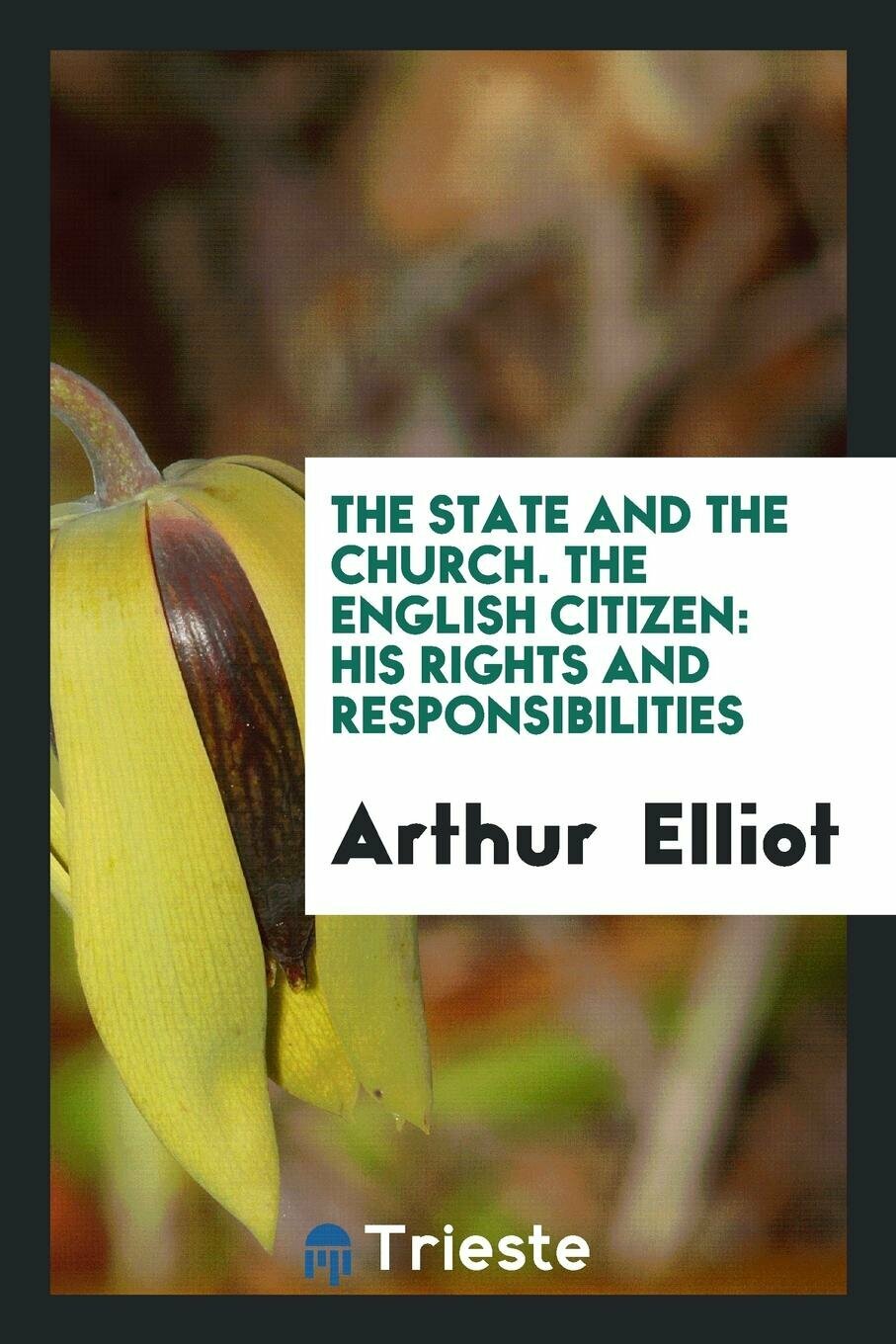 The State and the Church. The English Citizen. His Rights and Responsibilities