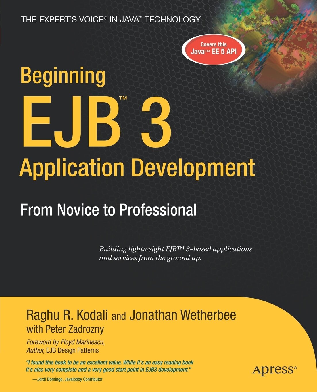 Beginning EJB 3 Application Development. From Novice to Professional — фото 1