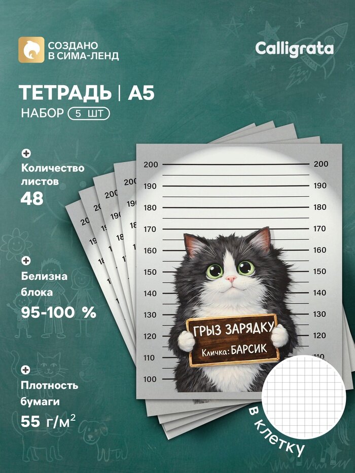 Набор тетрадей из 5 штук, 48 листов в клетку Calligrata «Коты хулиганы», блок №2, 5 видов