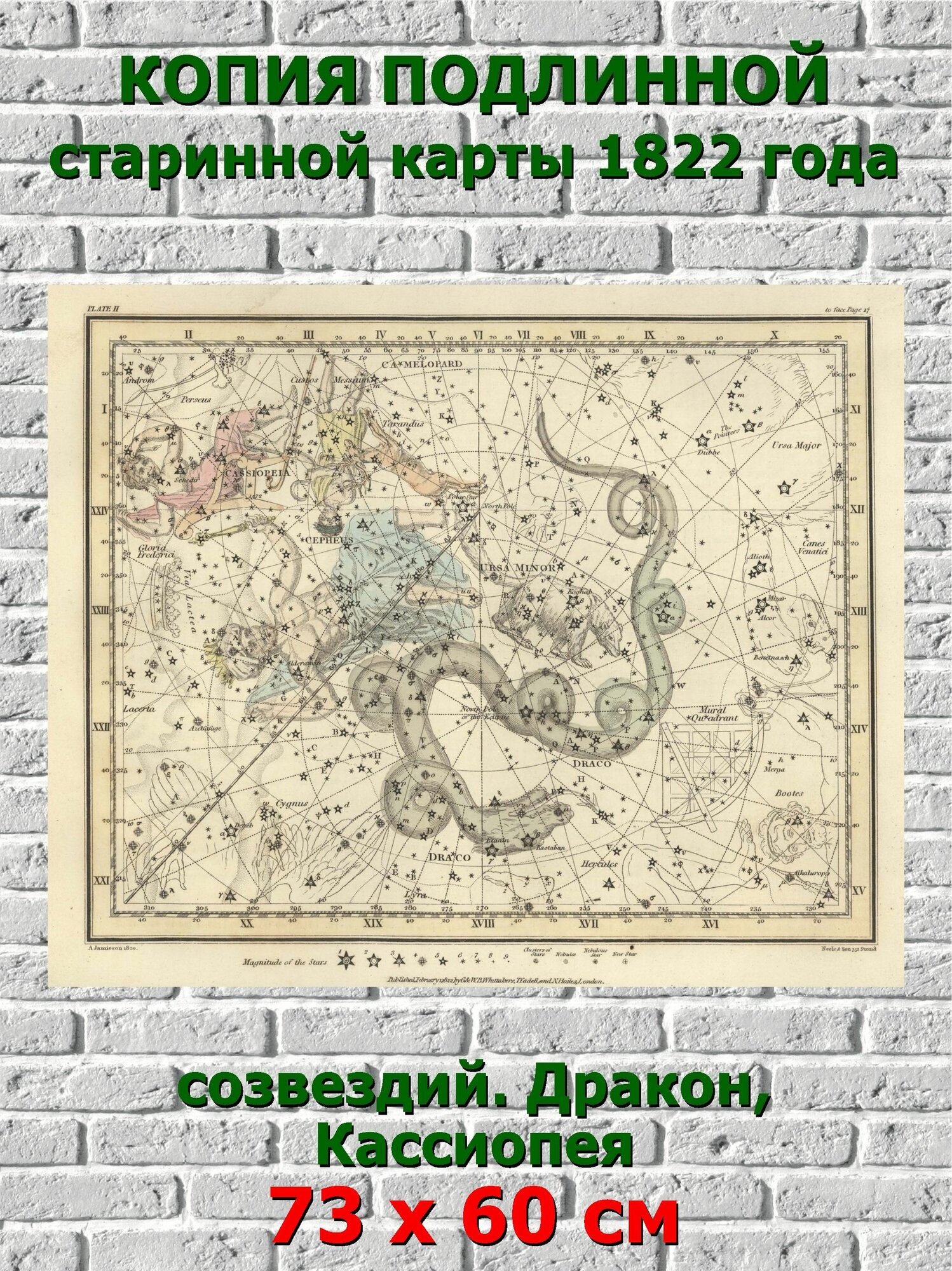 Старинная Карта созвездий. Дракон, Кассиопея. (репринт карты 1822 года).