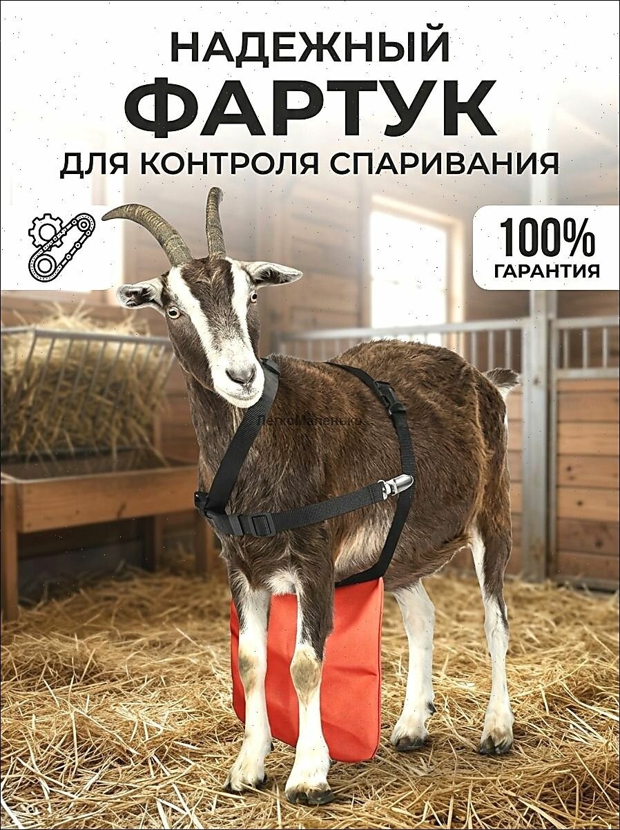 Фартук для козлов Барьер, применяется для контроля воспроизводства в козоводстве, регулируемая длина ремешка,1 шт.