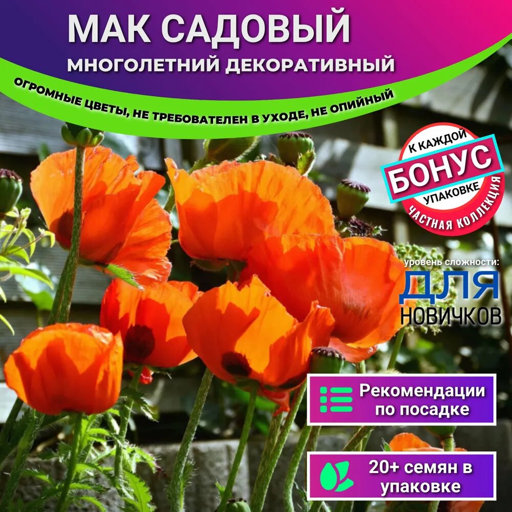 Мак Садовый Многолетний семена 20 шт + Бонус + Рекомендации по посеву бесплатно!