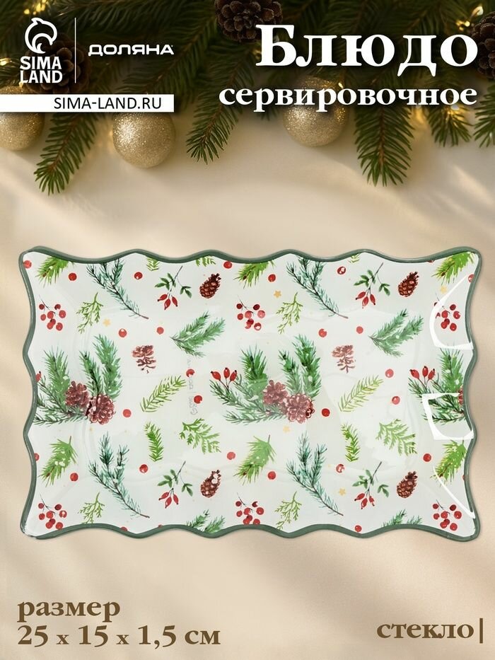 Блюдо сервировочное Доляна Еловые ветки, новогоднее, 25х15 см, стекло, белое, зелёное