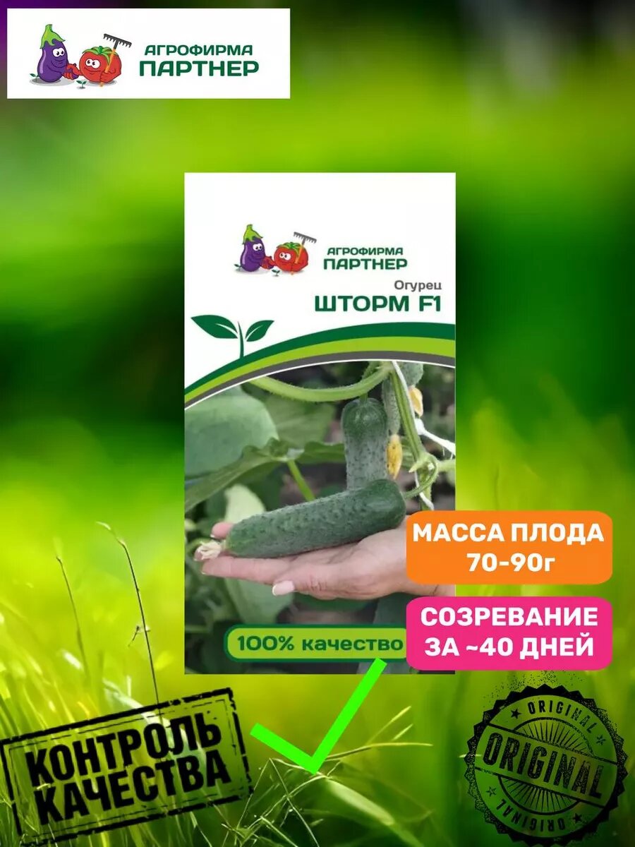 Партнер Огурец шторм F1 (5шт)