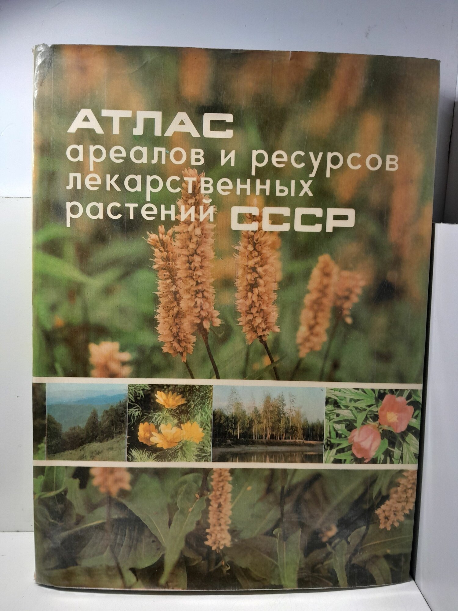 Атлас ареалов и ресурсов лекарственных растений СССР