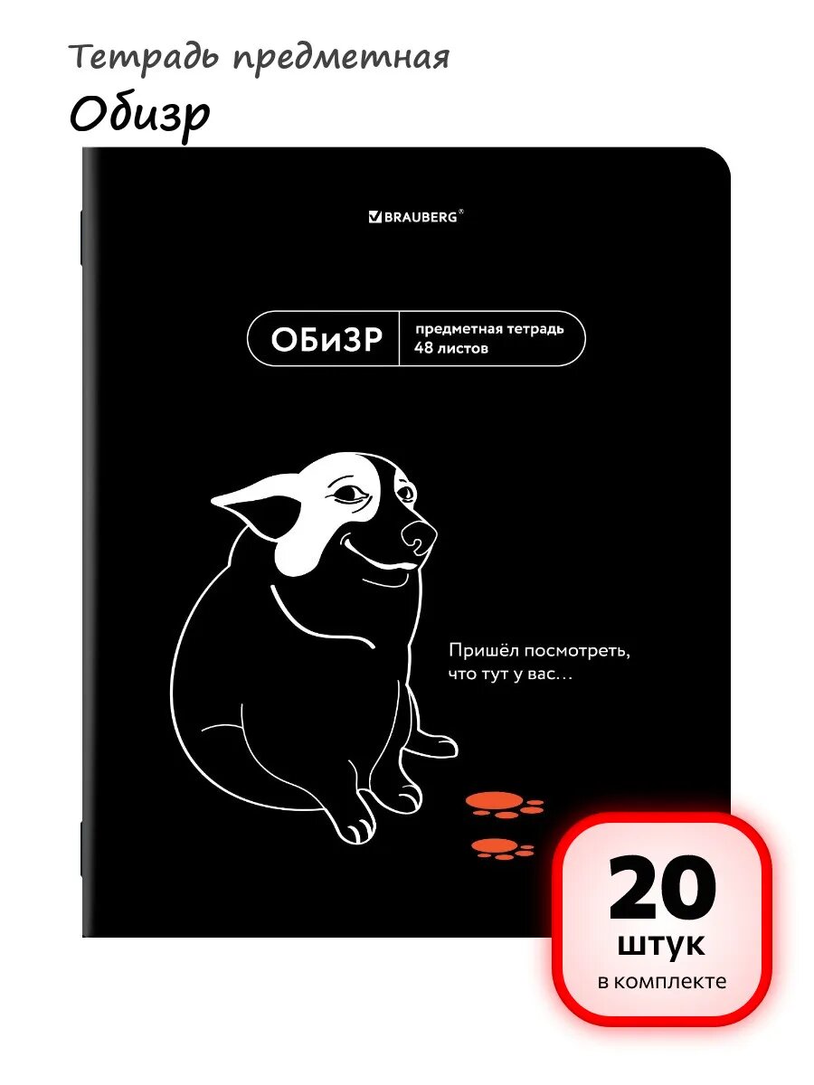 (20 штук) - Тетрадь предметная Обизр арт. 405108