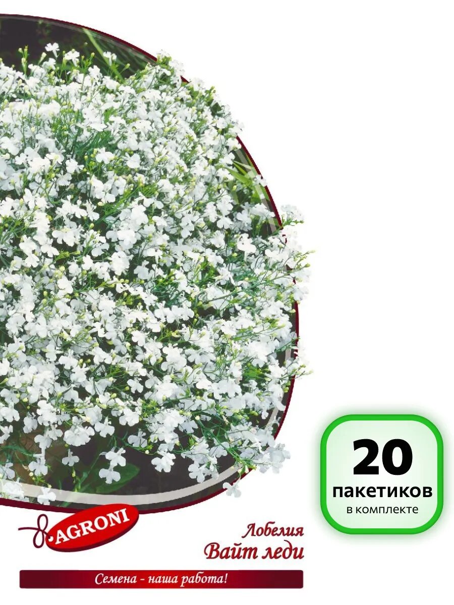 (20 шт.) - Семена Лобелия Вайт леди (0,1г)