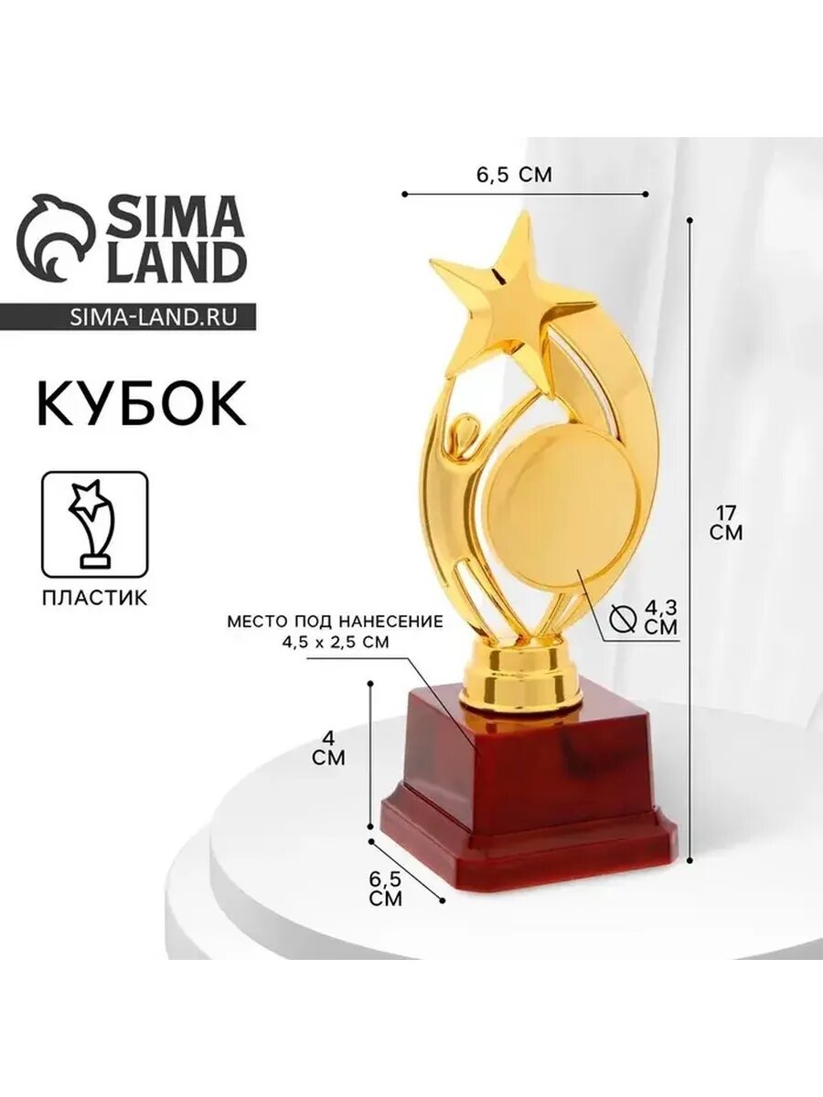 Подарочный кубок «Человек со звездой» — золотая награда