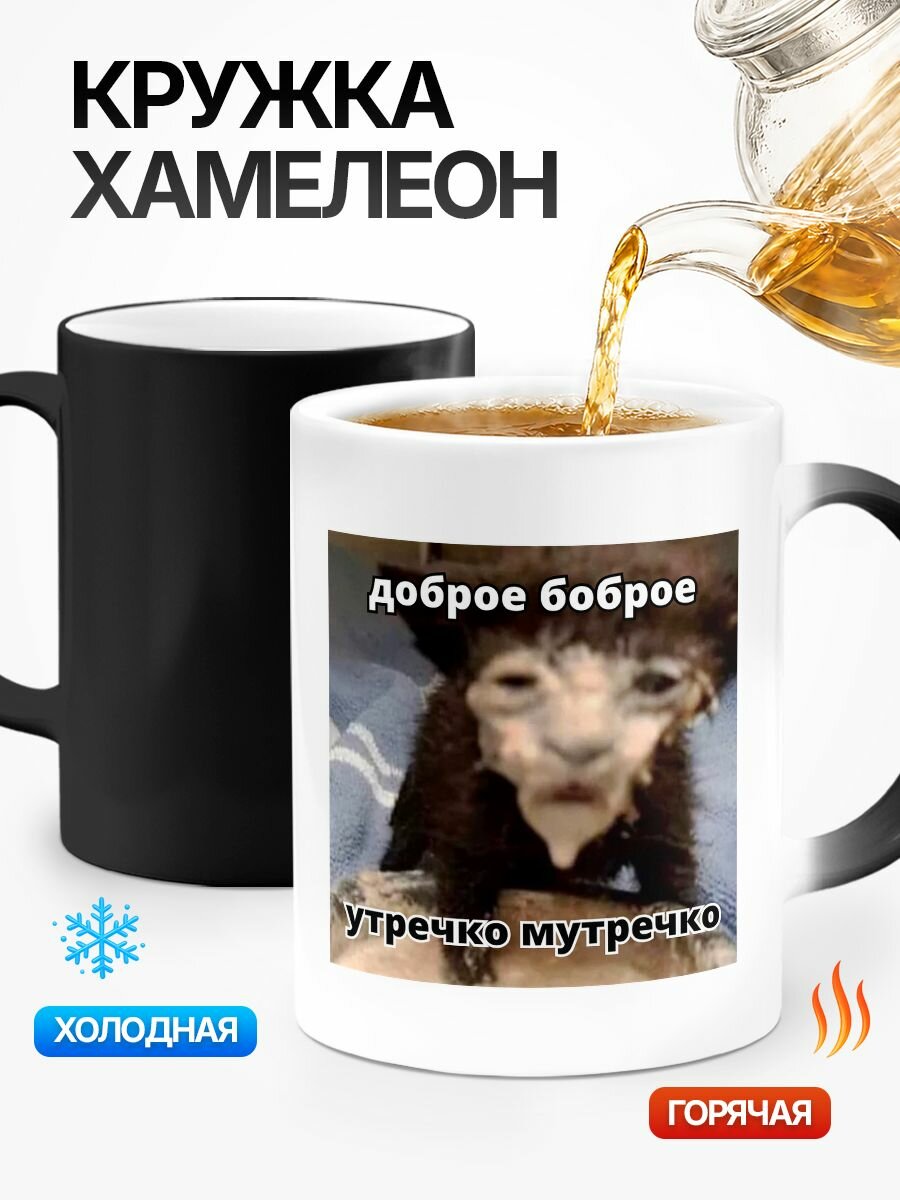Кружка хамелеон с приколом котик мем в подарок