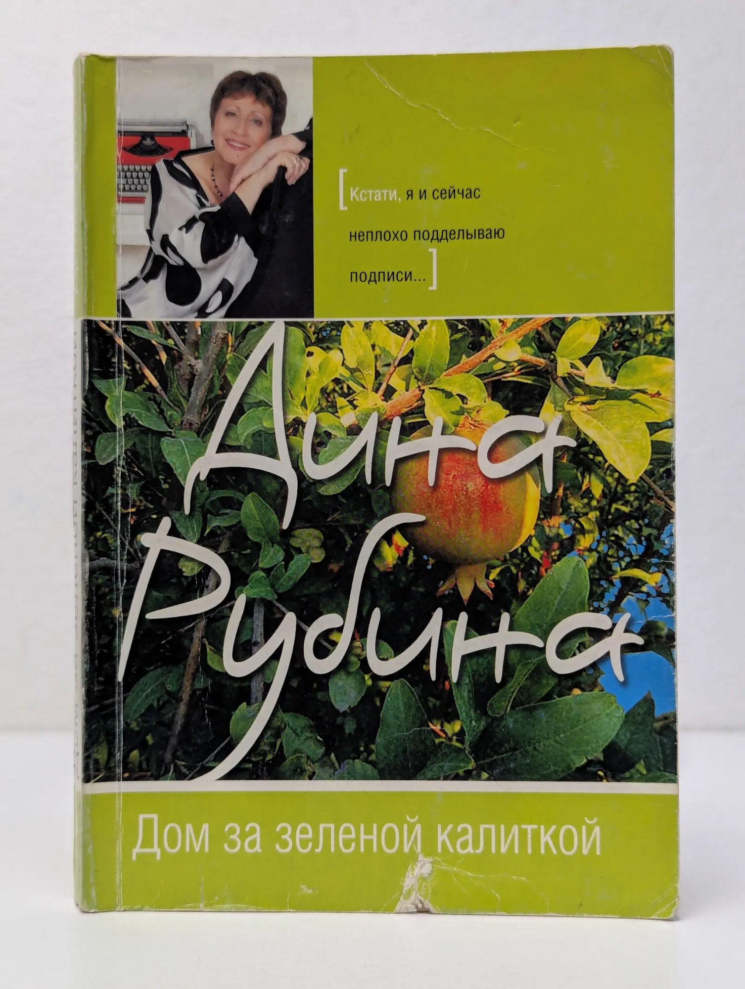 Дом за зеленой калиткой Рубина Дина Ильинична 2011