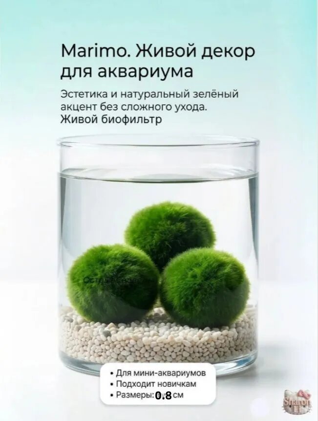 Кладофора Marimo для аквариума 0.8 см, живой декор, шарик водоросли, аквариумное растение, 2 шт.