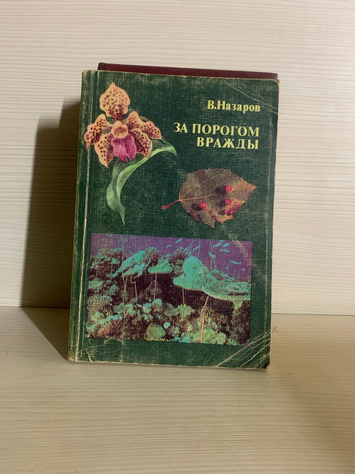 За порогом вражды