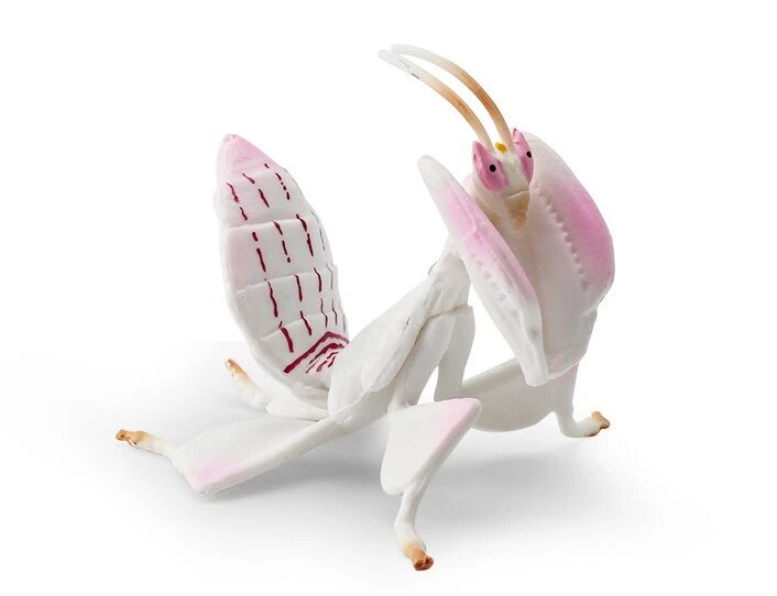 Фигурки насекомых ODILO Моломо Розовый, 4